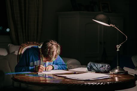 Een propedeuse: wat is dat? | Studiekeuzelab